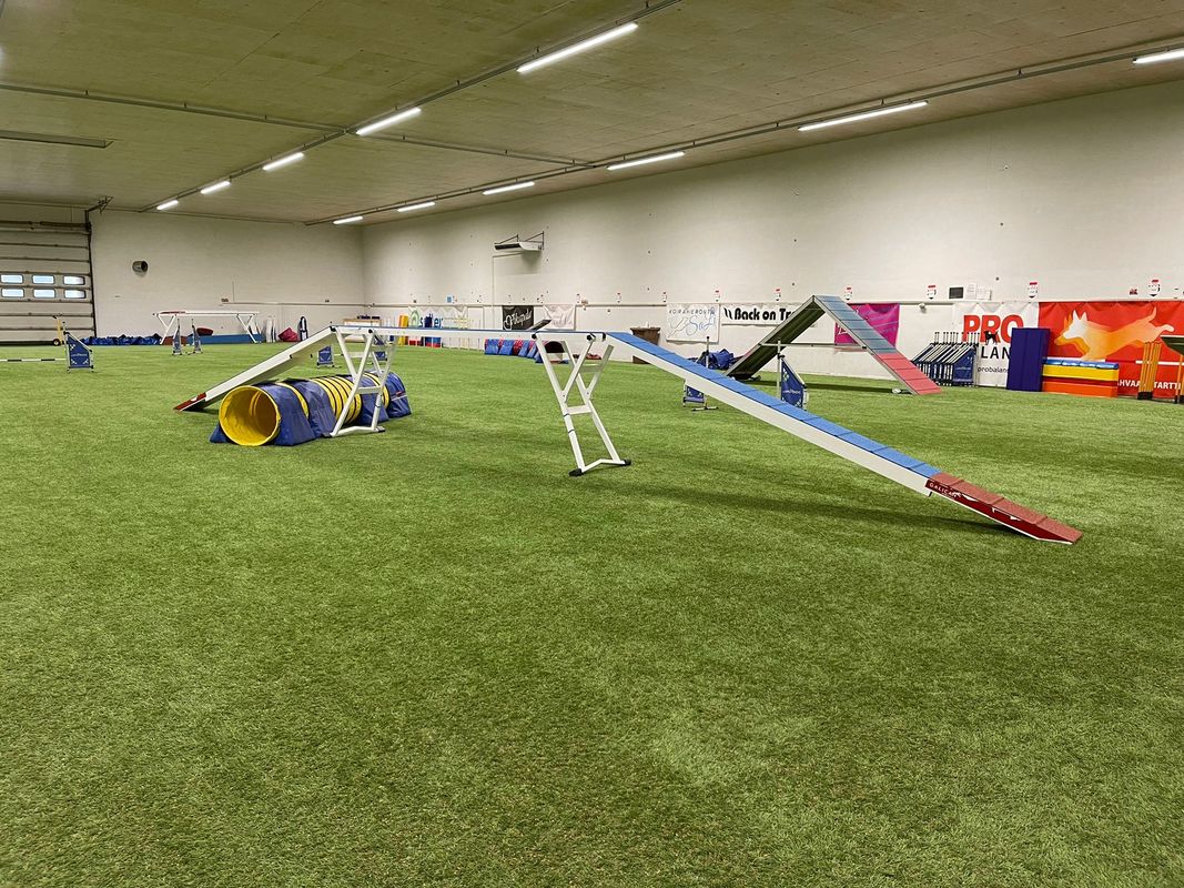 Digitaaliset palvelut sekä turvallisuus - Janakkalan Koirakerho ry